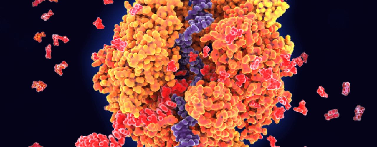 RNA-Seq Standard package | Cornell Institute of Biotechnology | Cornell ...